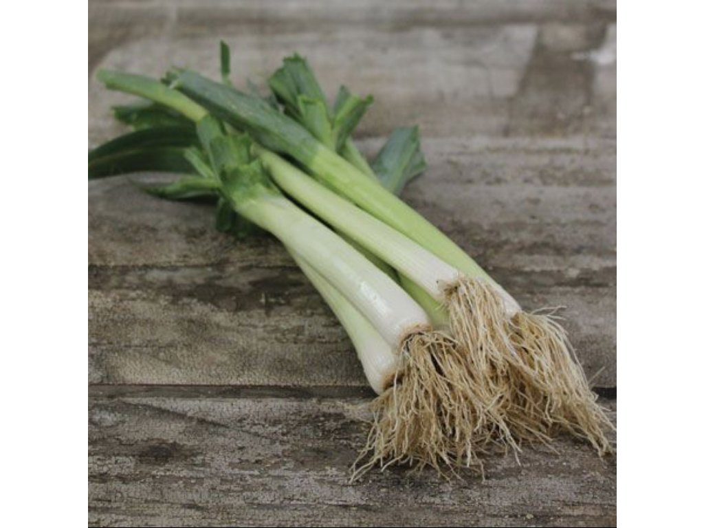 Pór - Culina Botanica